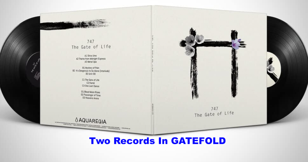 USA PRICES for Record Pressing - custom vinyl recordspressing